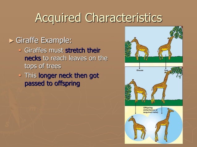 Early_Theories_of_Evolution2 presentation | PPT