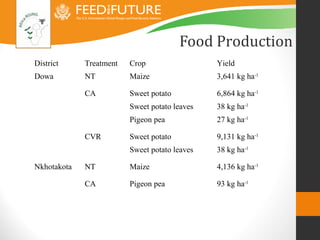 Sustainable intensification and diversification of maize-based farming ...