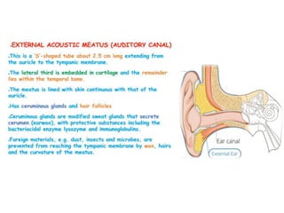 Ear and its disorders in anatomy and physiology | PPTX