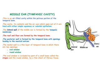 Ear and its disorders in anatomy and physiology | PPTX