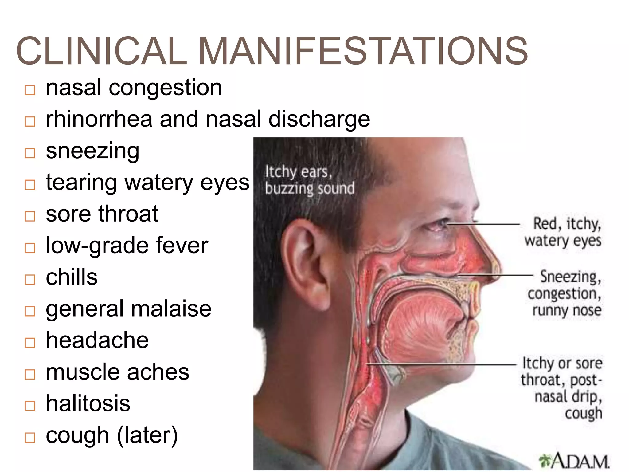 EAR, NOSE AND THROAT.pptx | Ear, Nose and Throat Conditions | Diseases and Conditions