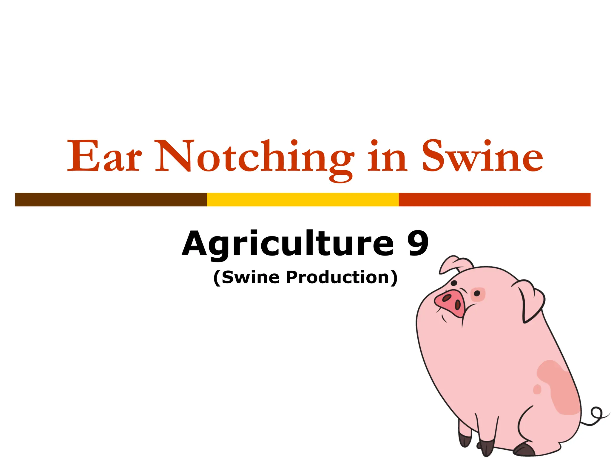 earnotching of swineearnotching of swine | PDF