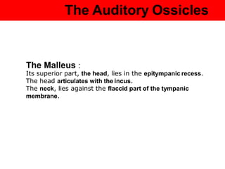 ear ossicles.pptx