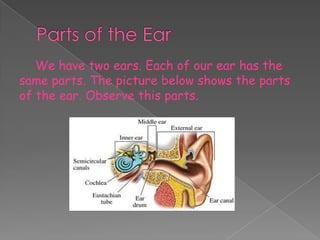 Ear parts and its function | PPT