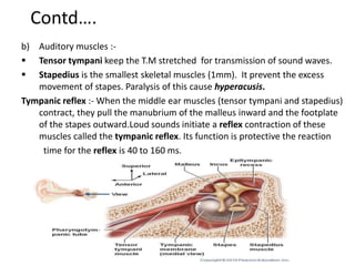 Ear ppt | PPTX