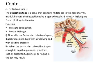 Ear ppt | PPTX