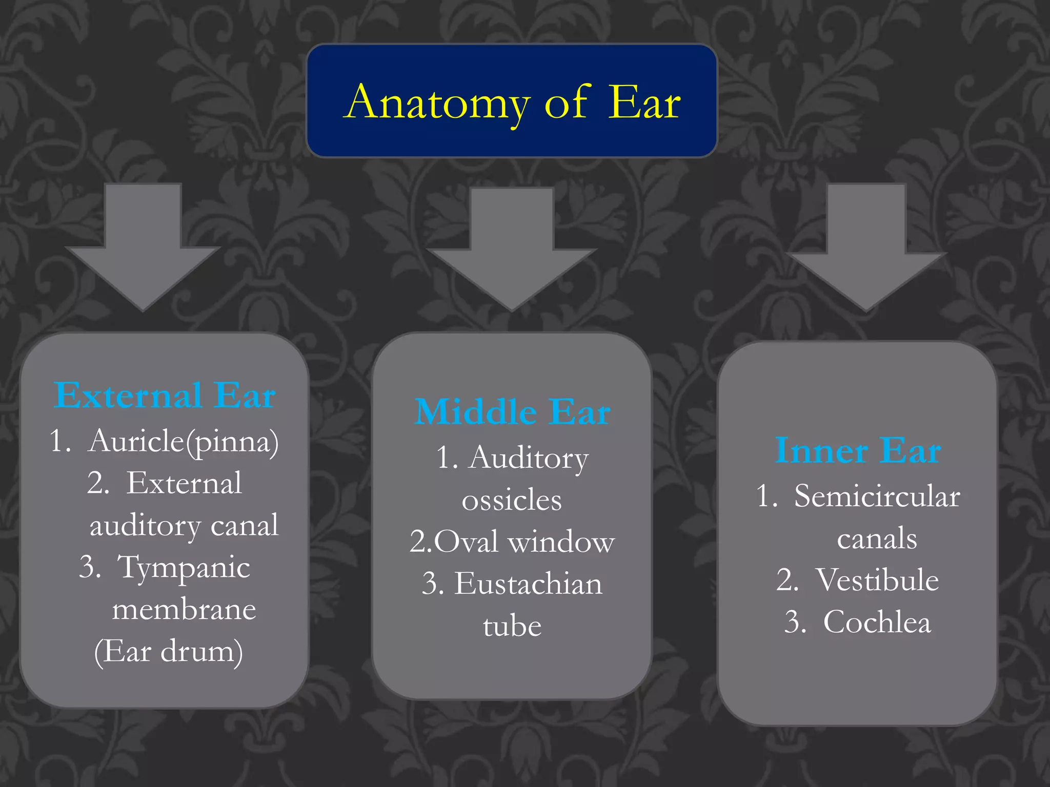 EAR ppt..pptx