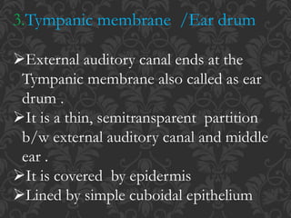 EAR ppt..pptx