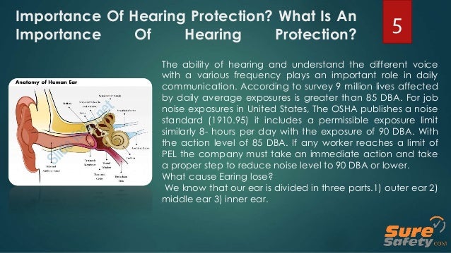 Think First To Choose Best Effective Hearing Protection For Save Ears…