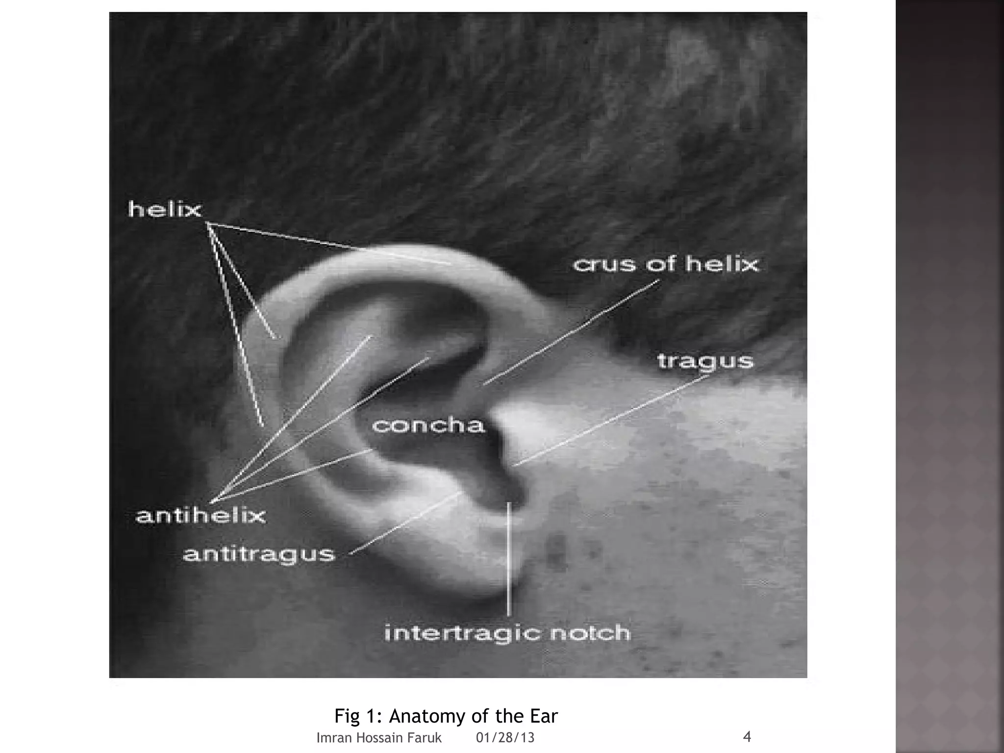 Ear recognition system | PPT