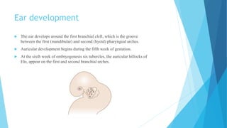 Ear Reconstruction_084051.pptx
