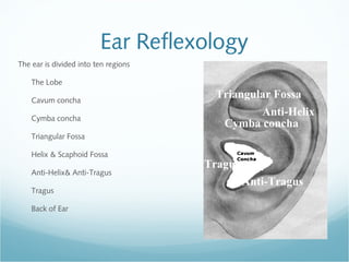 Ear reflexology self-massage | PPT