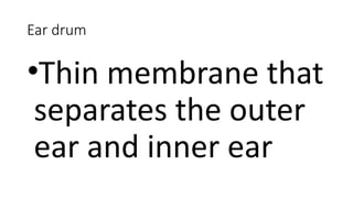 Parts of the ears and definition Science.pptx