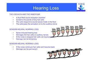 Ear safety | PDF