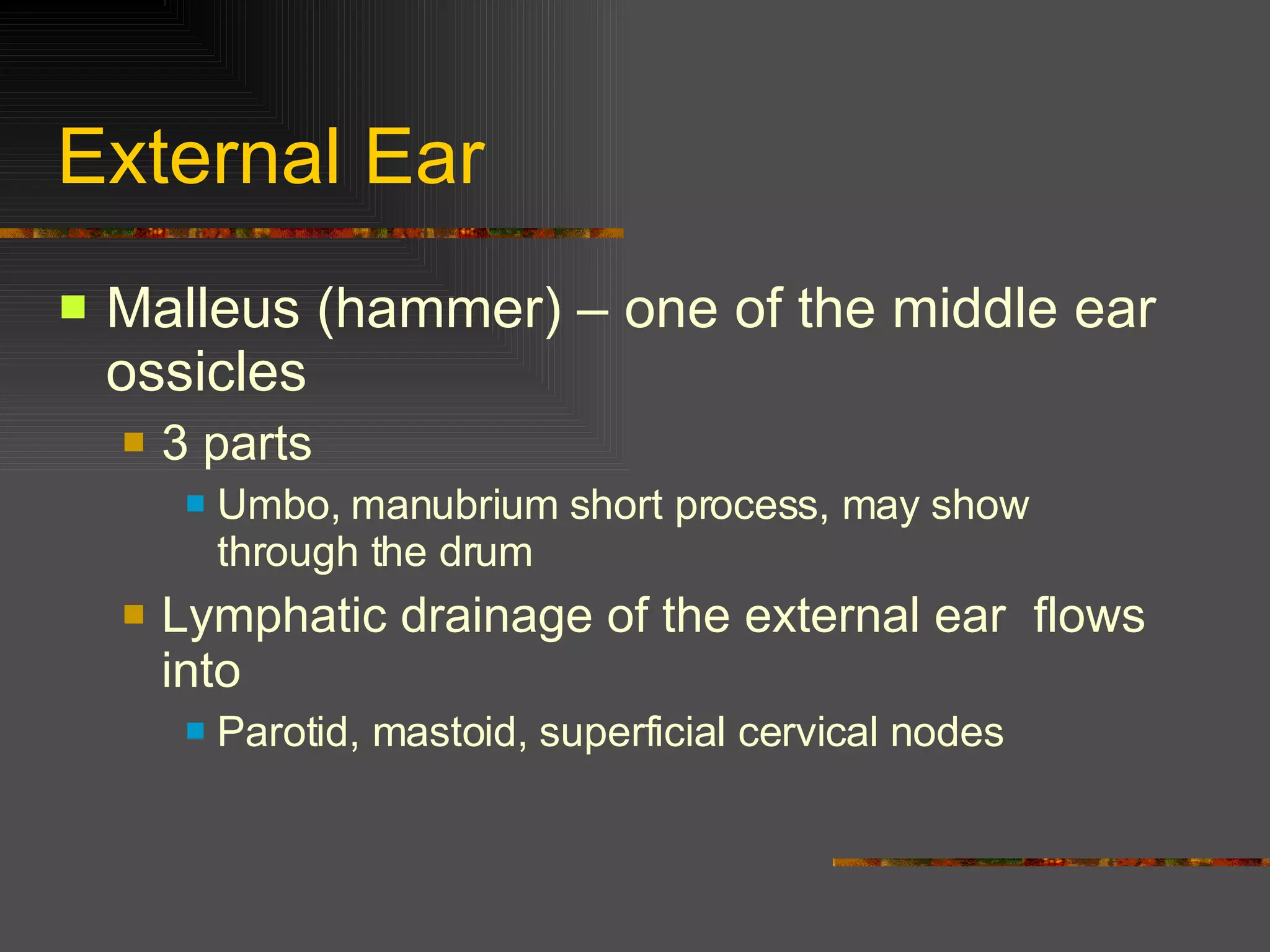 NurseReview.Org - Ears Nose Throat Mouth Nursing Lecture | PPT