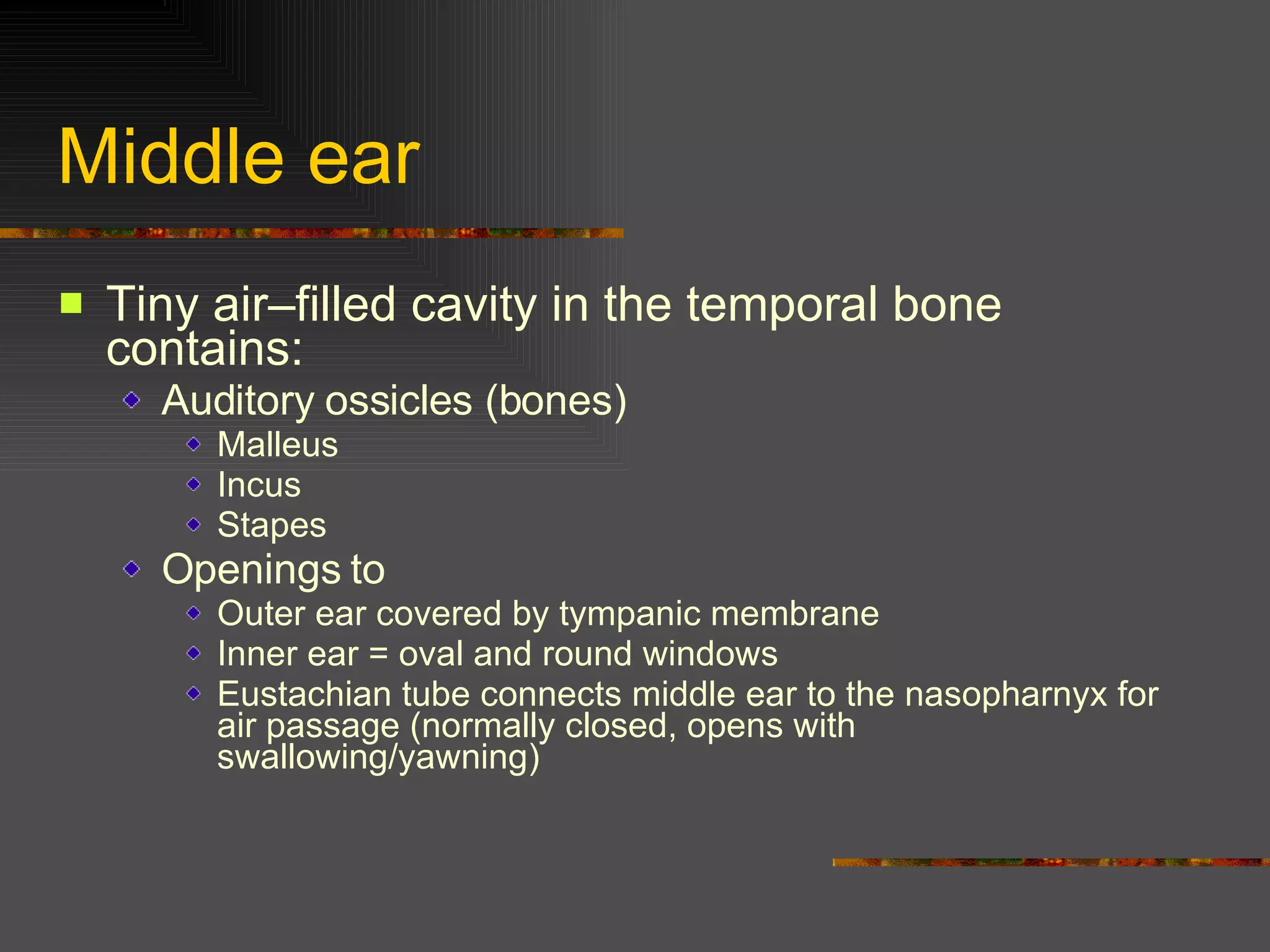 NurseReview.Org - Ears Nose Throat Mouth Nursing Lecture | PPT