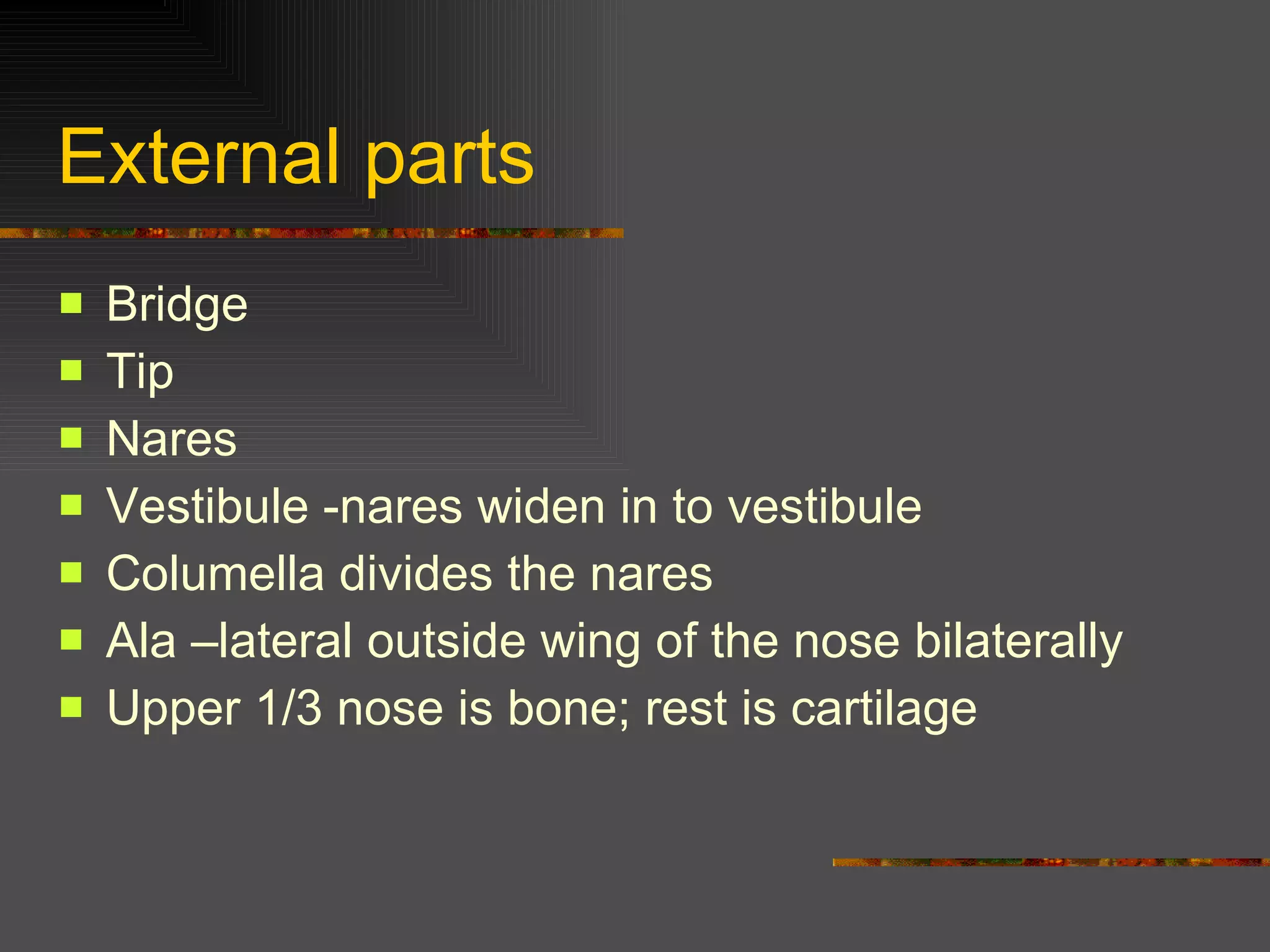 NurseReview.Org - Ears Nose Throat Mouth Nursing Lecture | PPT