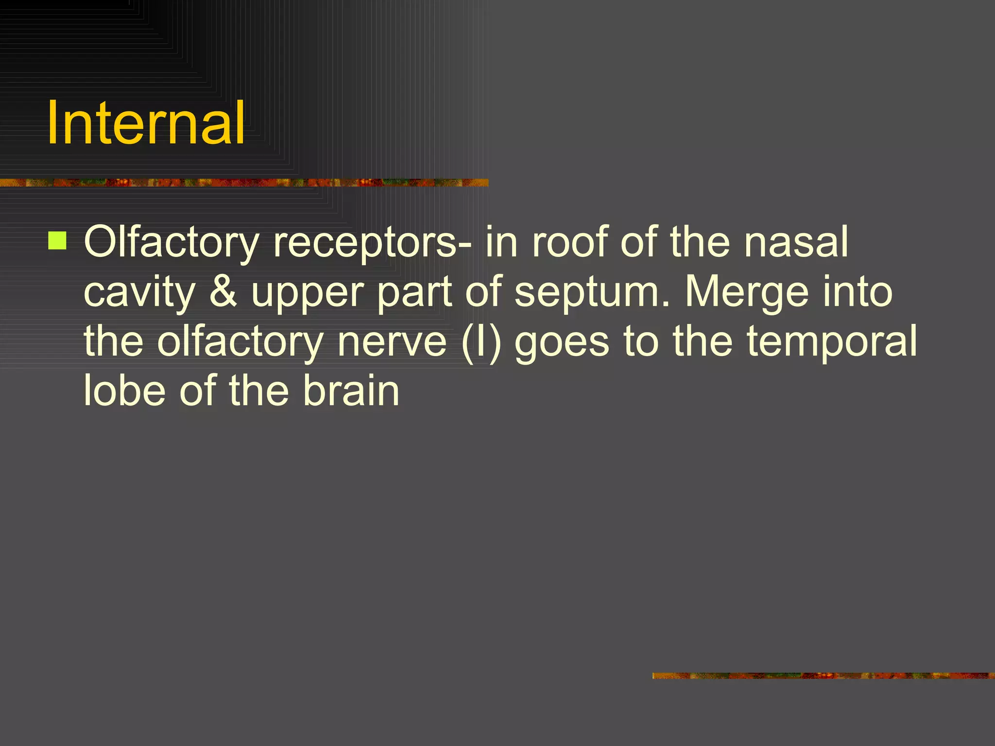 NurseReview.Org - Ears Nose Throat Mouth Nursing Lecture | PPT