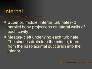NurseReview.Org - Ears Nose Throat Mouth Nursing Lecture | PPT