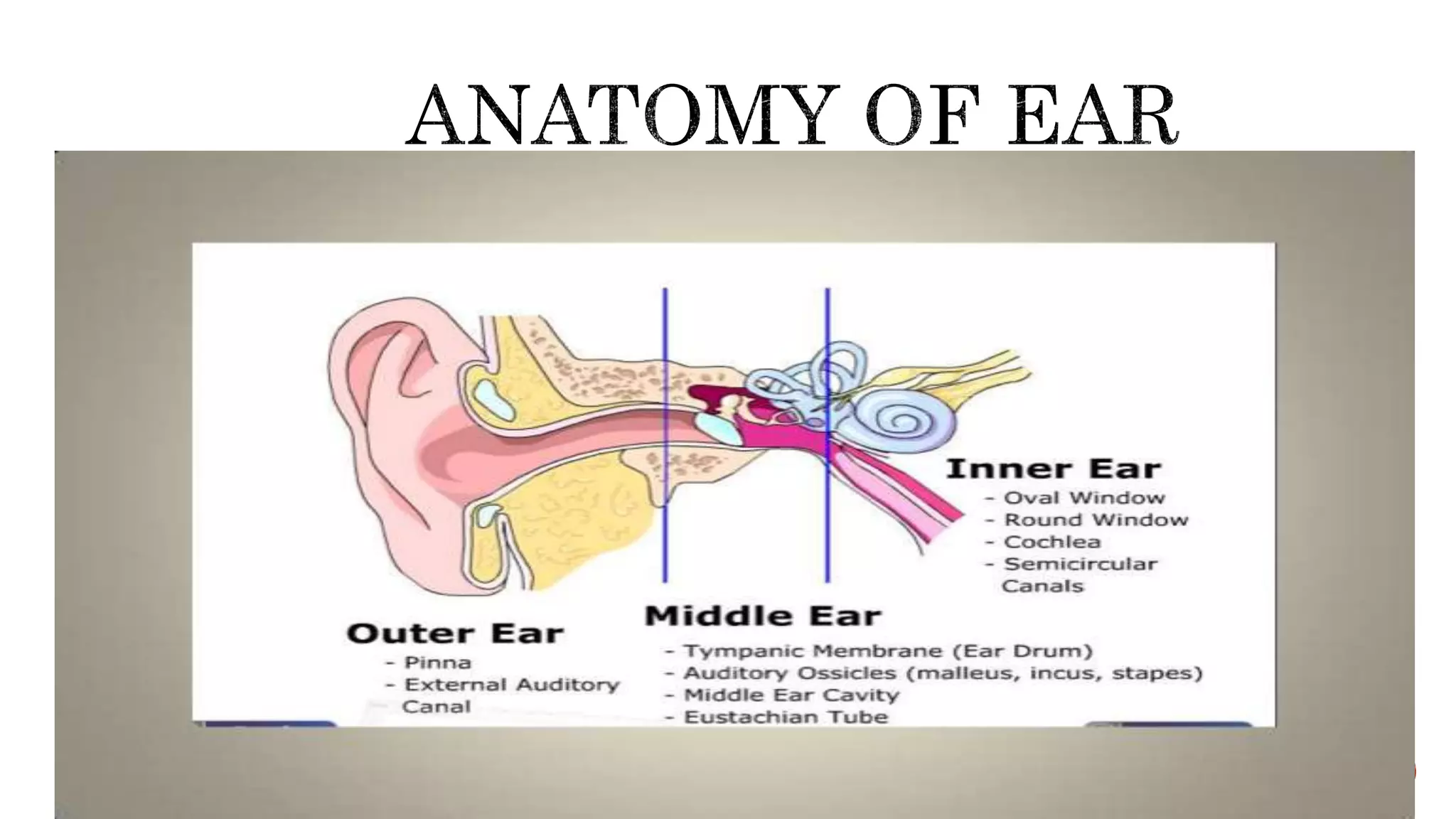 ear surgery ppt.pptx