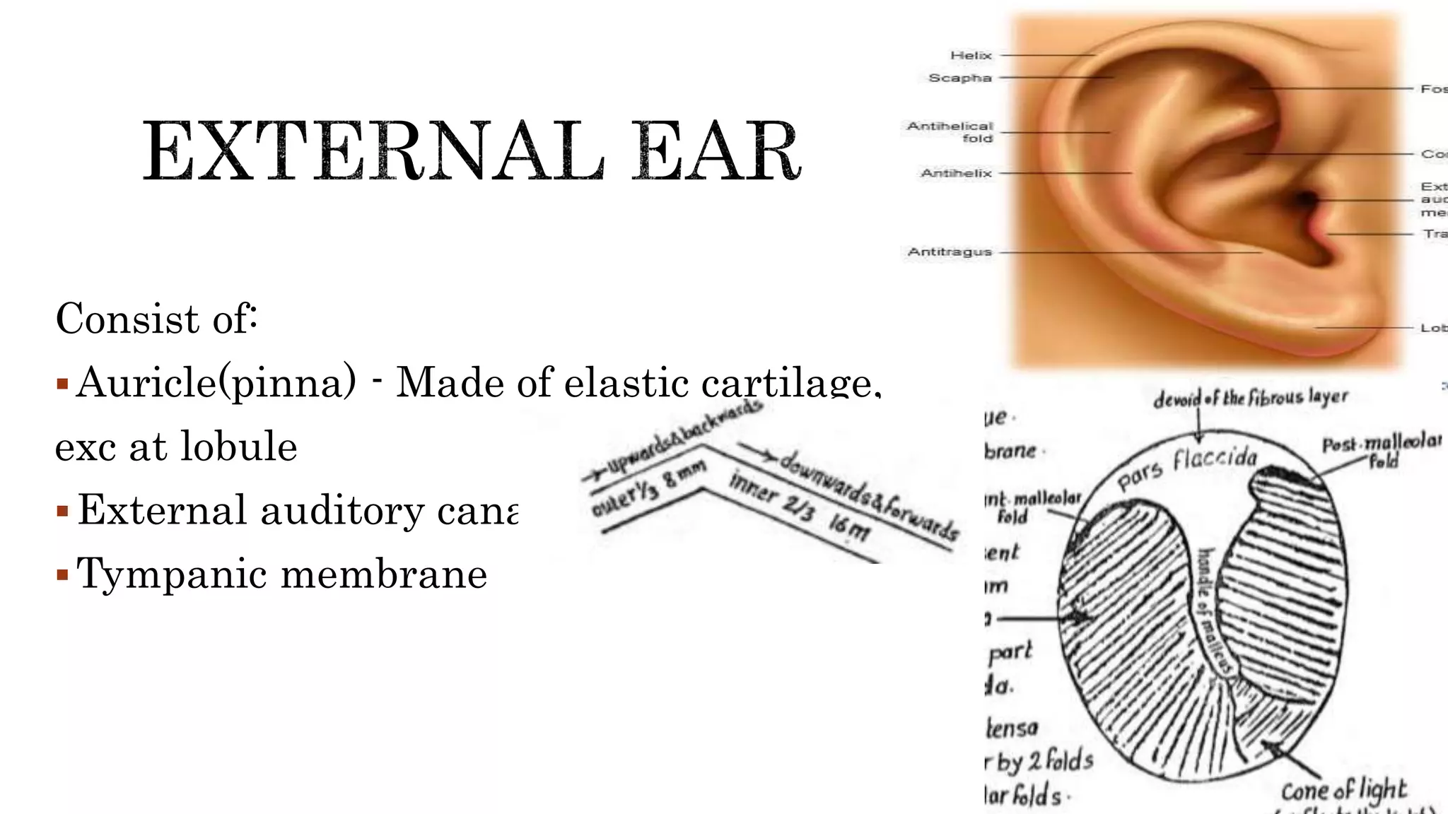 ear surgery ppt.pptx