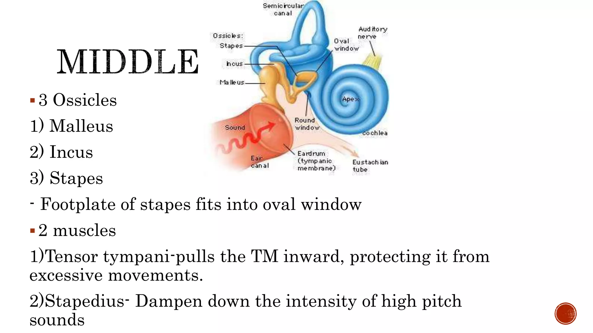 ear surgery ppt.pptx