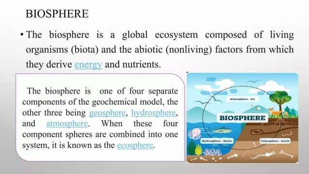 Earth-Ecosystem-Biosphere-Noosphere.pptx