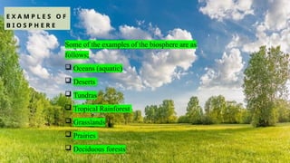 Earth-Ecosystem-Biosphere-Noosphere.pptx