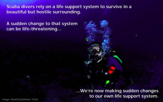 Earth: Our Life Support System | PDF