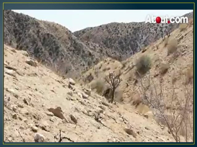 EARTH-SCIENCE AND THE FIELDS OF SCIENCES | PPT | Free Download