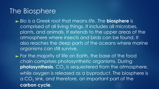 Powerpoint for Earth - The Living Planet | PPTX