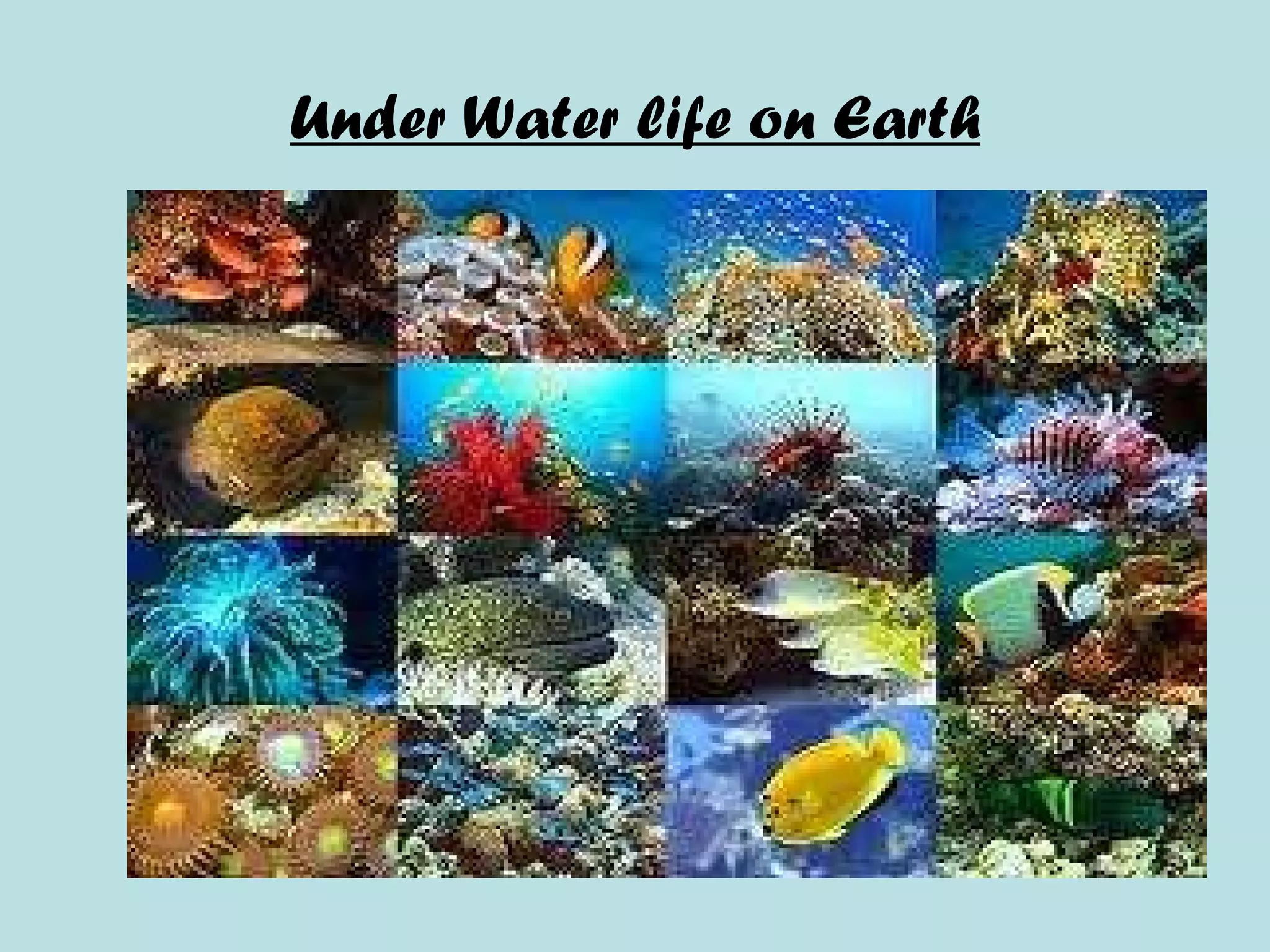 Earth and environmental science | PPT