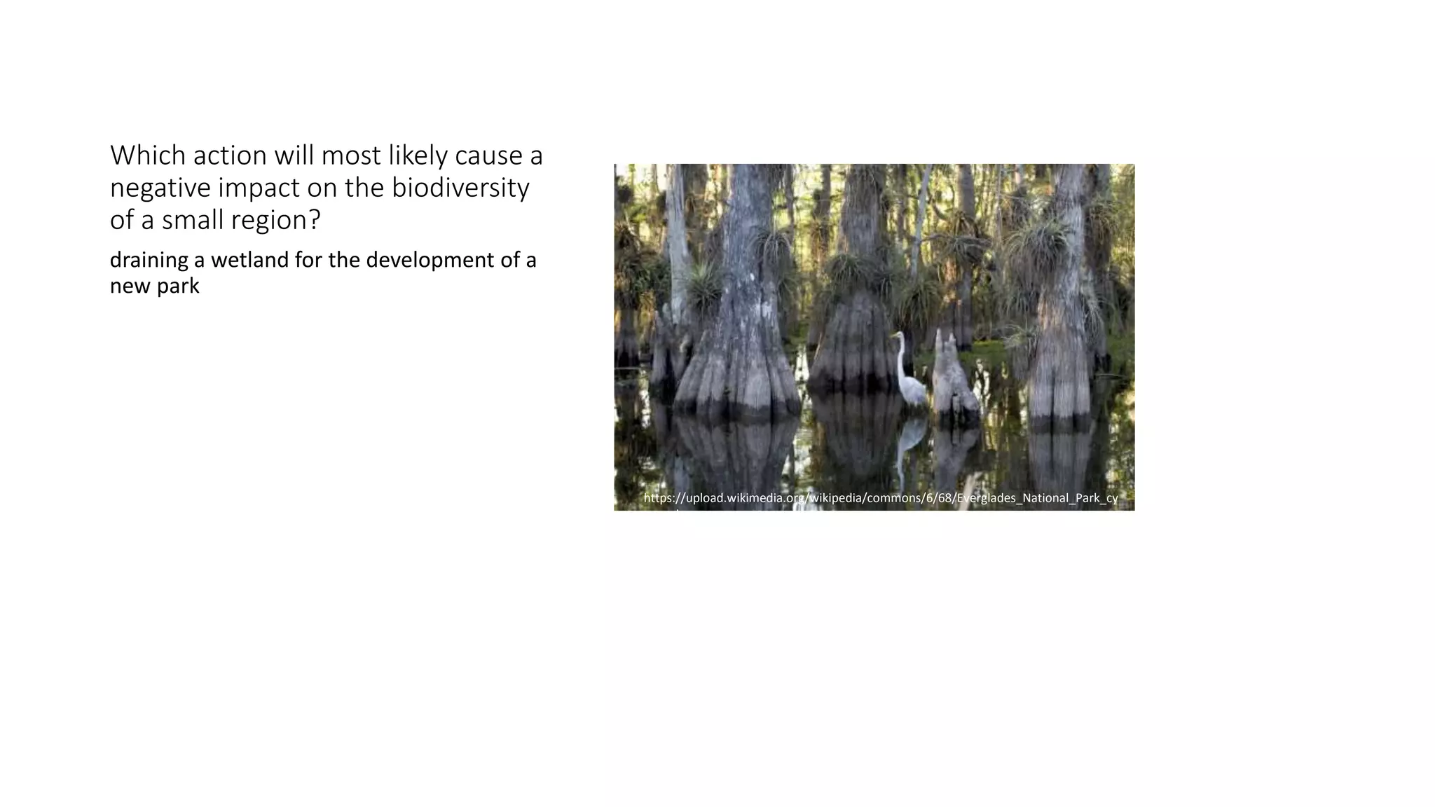 Earth and environmental science part 4 of 4 | PPT