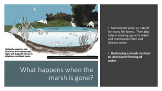 Earth and environmental science review part 3 of 4 | PPTX