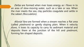 earth and life 5.pptx