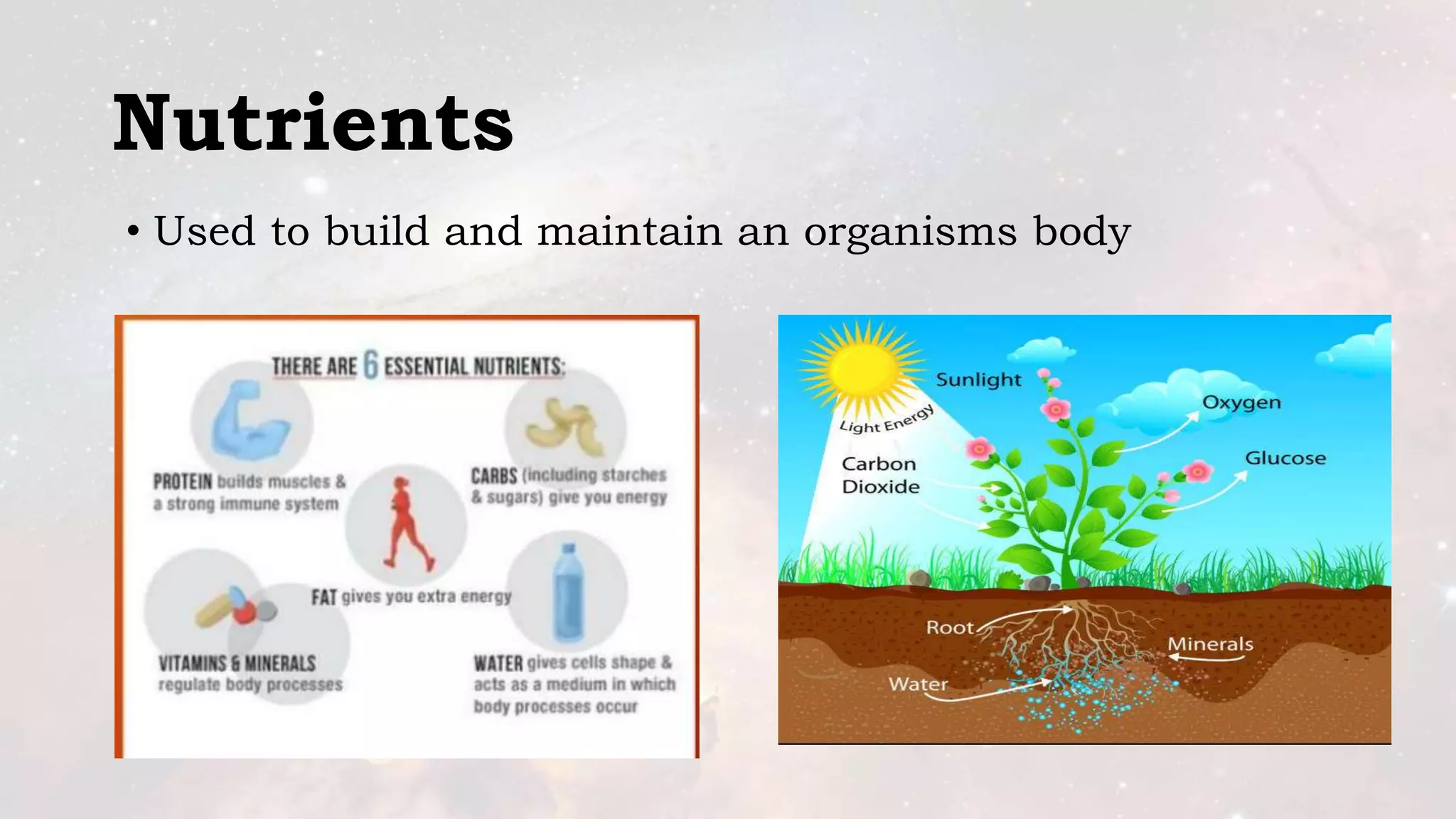 Earth and Life Science .pptx