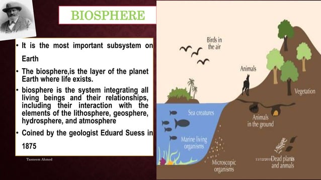 Earth as an Inhabitable Planet | PPTX