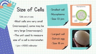 Earth and life science cell | PPTX