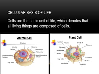 Earth and Life Science Quarter 2 Module 2.pptx