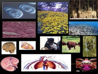 Earth and Life Science Quarter 2 Module 2.pptx
