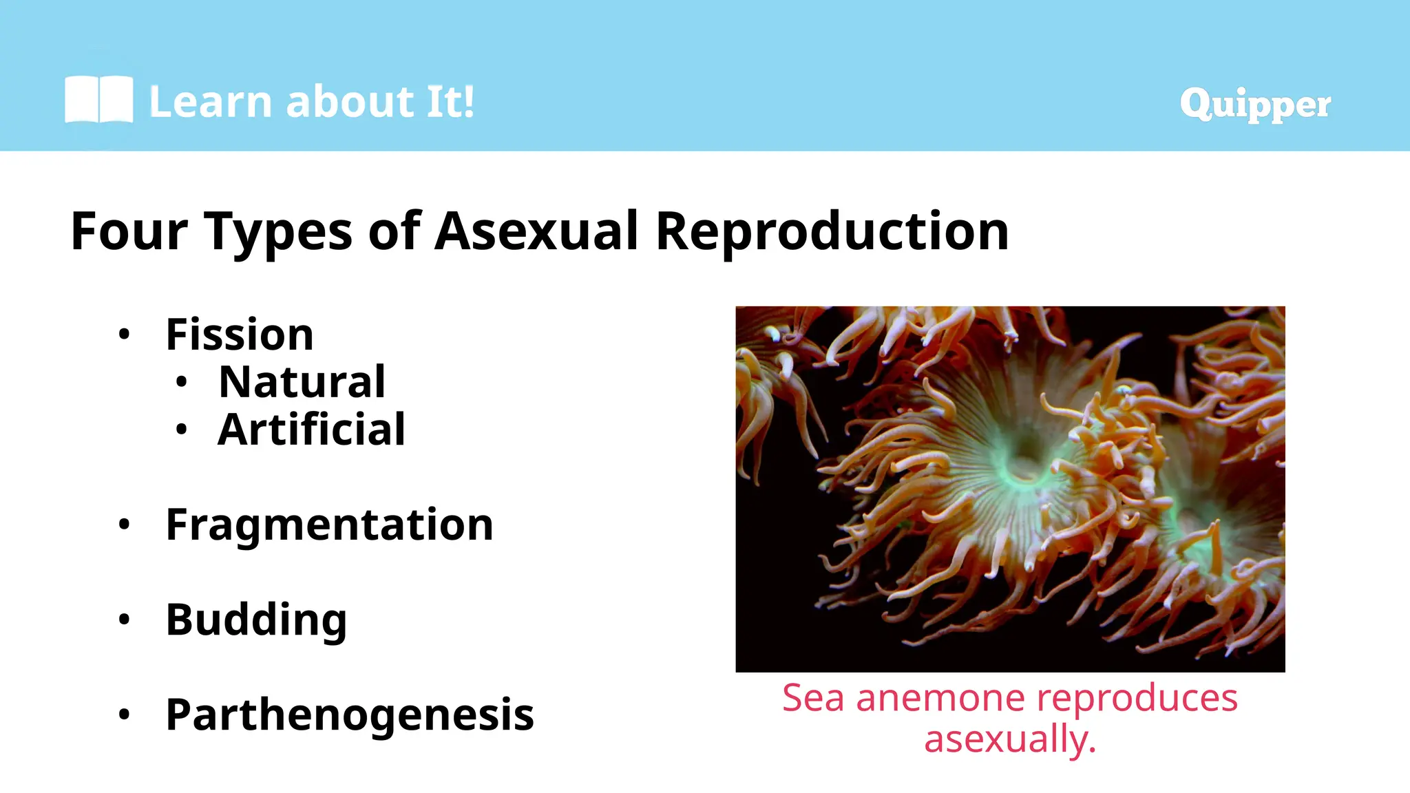 Earth and Life Science SHS 17.3 Asexual Reproduction in Animals.pptx ...
