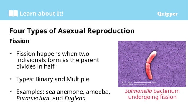 Earth and Life Science SHS 17.3 Asexual Reproduction in Animals.pptx ...