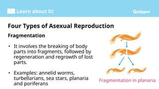 Earth and Life Science SHS 17.3 Asexual Reproduction in Animals.pptx ...