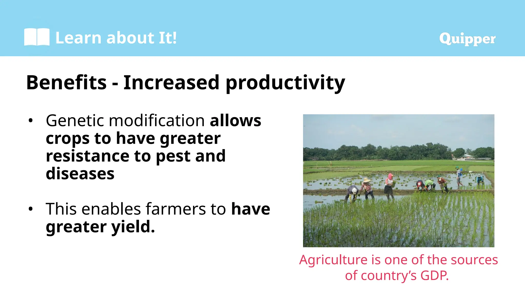Earth and Life Science SHS 18.4 Benefits and Risks of Using GMOs.pptx