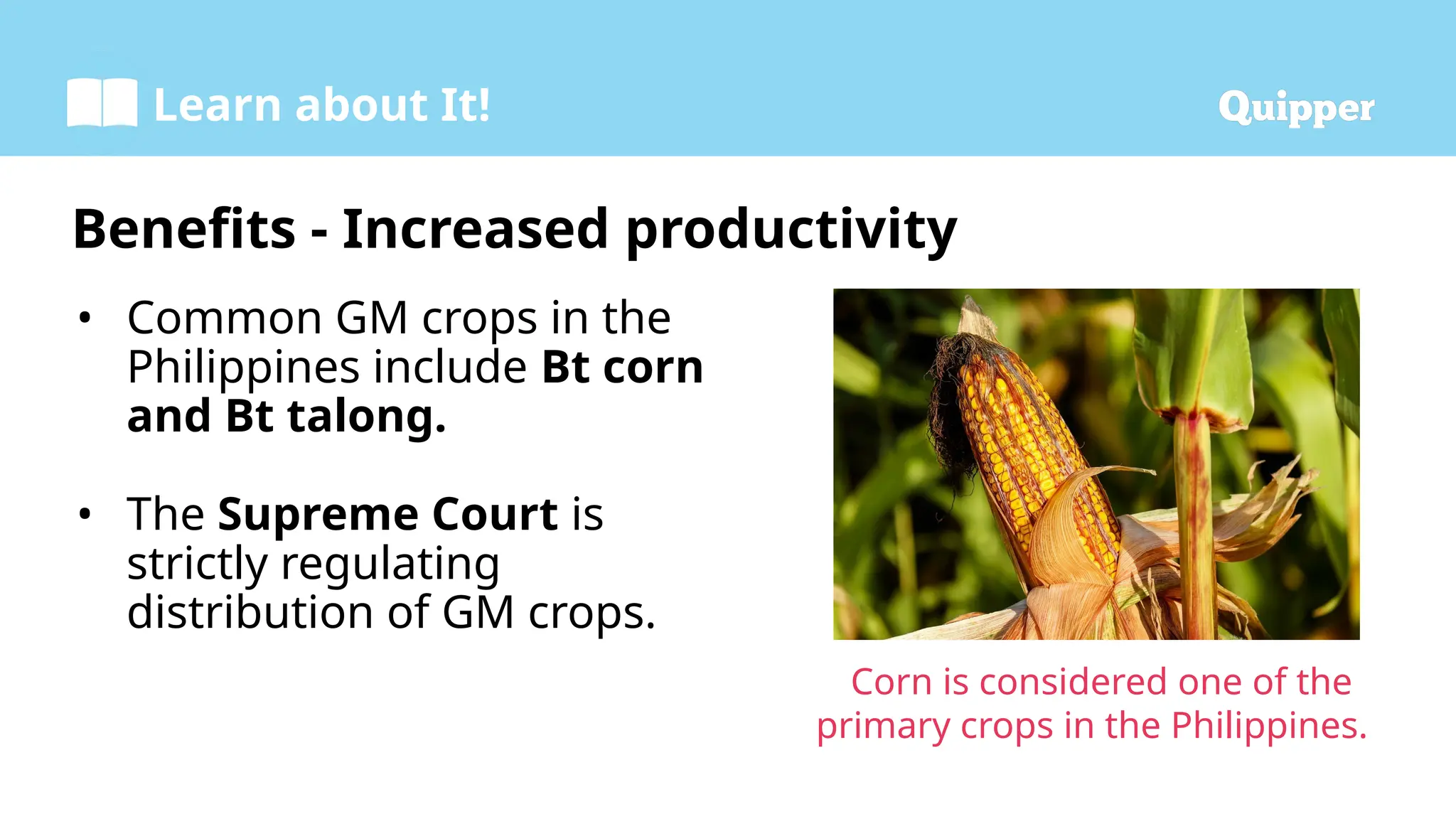Earth and Life Science SHS 18.4 Benefits and Risks of Using GMOs.pptx