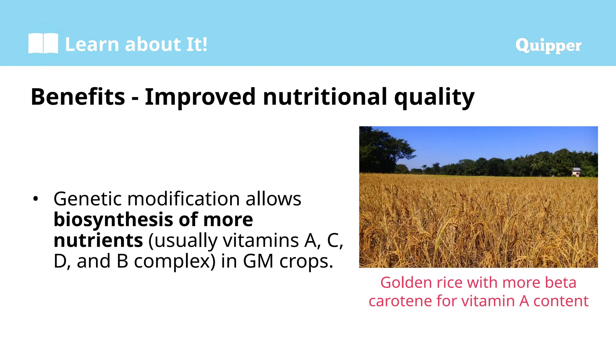 Earth and Life Science SHS 18.4 Benefits and Risks of Using GMOs.pptx