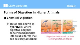 Earth and Life Science SHS 19.1 Digestion.pptx