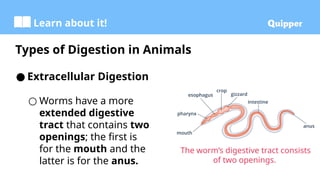 Earth and Life Science SHS 19.1 Digestion.pptx