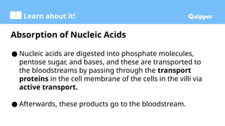 Earth and Life Science SHS 19.2 Absorption.pptx