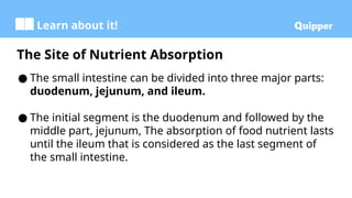 Earth and Life Science SHS 19.2 Absorption.pptx